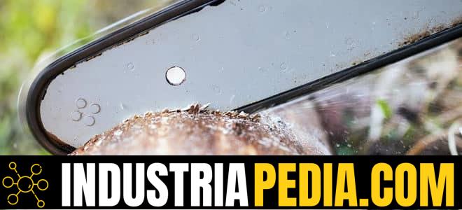 Guía Práctica para Cortar Ramas con Motosierra de Altura Eficazmente