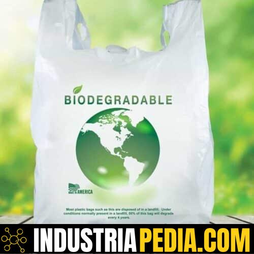 Significado de Biodegradable y Su Importancia en el Medio Ambiente